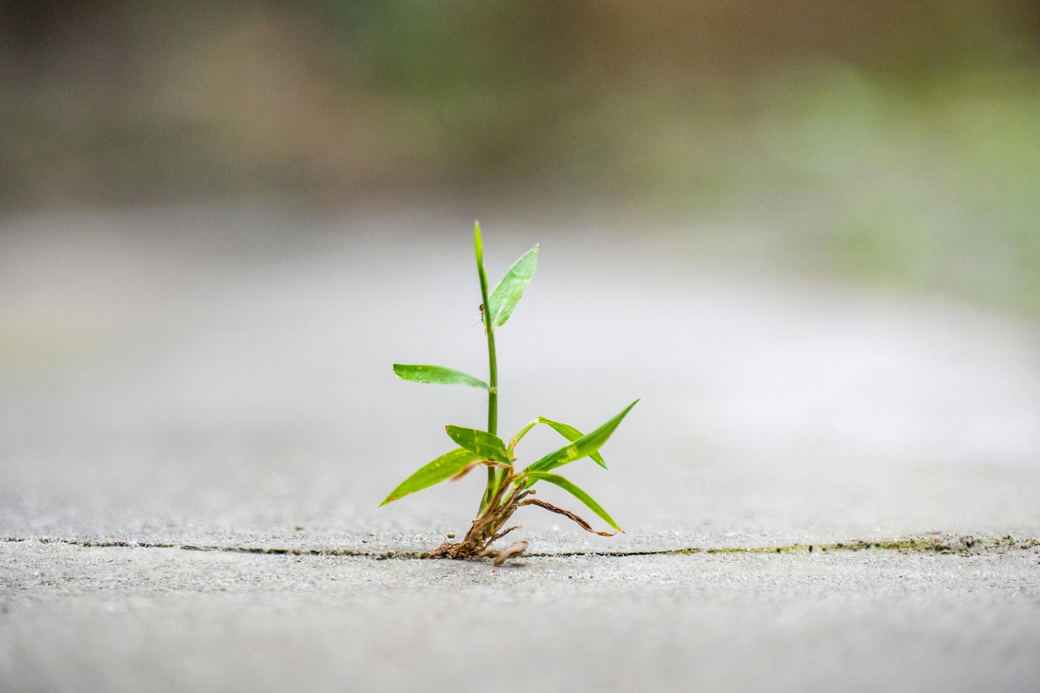 DuPont Water Solutions Unveils WAVE PRO for Ultrafiltration